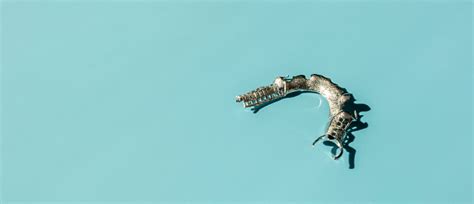 배경 코발트 크롬 치과 판 금속 프레임 하부 부분 틀니 파란색 배경에 3d 프린터로 인쇄 된 다리 플랫 레이 모형 복사 공간 3d 인쇄 의치 가로 치과 금속에 대한 스톡