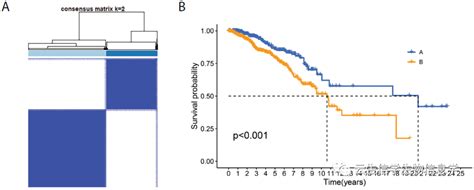 细胞外基质（ecm）联合t细胞做生信，旧貌换新颜，肿瘤分型 预后模型 实验验证思路，带你轻松玩转8分 ！ 知乎