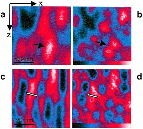 Fluorescence Microscopy With Diffraction Resolution Barrier Broken By