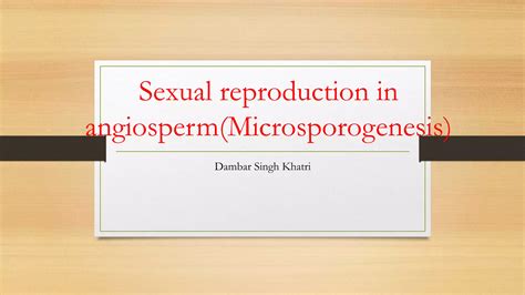 Sexual Reproduction In Angiosperm Microsporogenesis Ppt