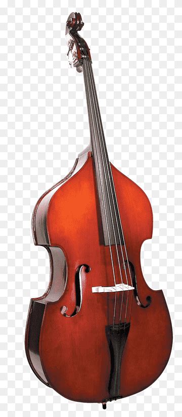 만화 어린이 밴드 밴드 첼로 큰 Png Pngwing