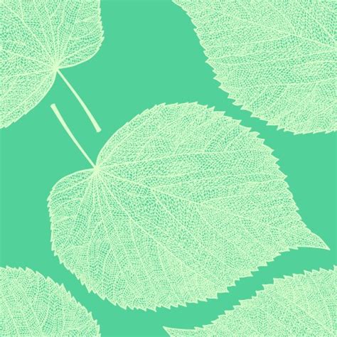 Skeleton Leaf Pattern Seamless Royalty Free Vector Image