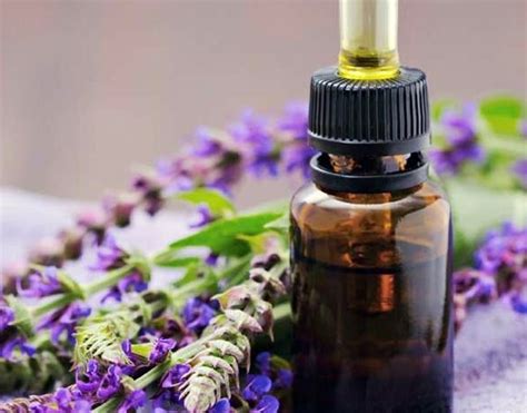 Sex Tips Here Are Some Essential Oils That Improve Your Sex Drive