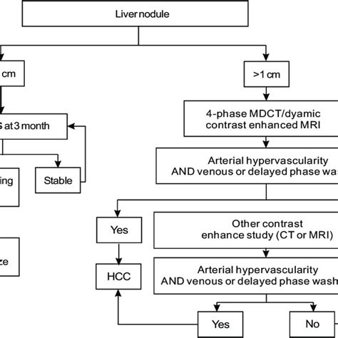Diagnostic Algorithm For Suspected Hepatocellular Carcinoma Hcc Of Diagnostic Algorithm For Suspected Hepatocellular Carcinoma Hcc Of