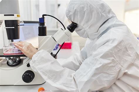 The Doctor Looks Into The Microscope The Scientist Conducts Research Stock Photo Image Of