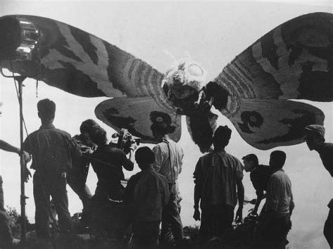 Godzilla X Mothra Tumblr 6672 Hot Sex Picture