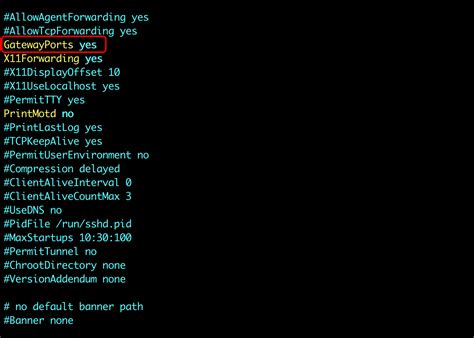 Ssh Tunneling Part 3 Rbt Security