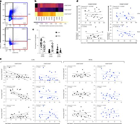 Particulate Containing Cd68⁺cd169⁻ Macrophages Are Increased In Llns
