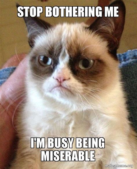 Stop Bothering Me Im Busy Being Miserable Grumpy Cat Meme Generator