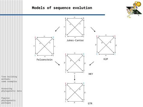 Ppt Models Of Sequence Evolution Gtr Hky Jukes Cantor Felsenstein K2p