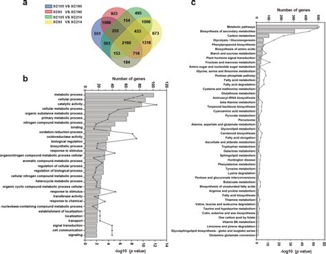 Transcriptomic Analysis Of Submergence Response Between Tolerant And