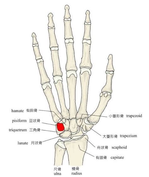 Images Of Japaneseclass Jp