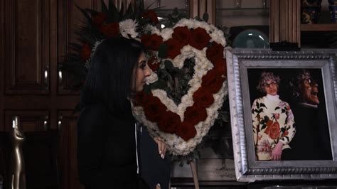 Buy Vicious Beauties Used Adult Dvd Empire