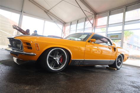 Mecum Mustangs