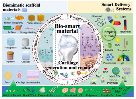 Schematic Illustration Of Biomimetic Smart Materials For Osteochondral Download Scientific