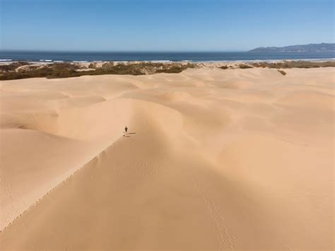 Pismo Beach Sand Dunes The Essential Guide To Visiting Oceano Dunes