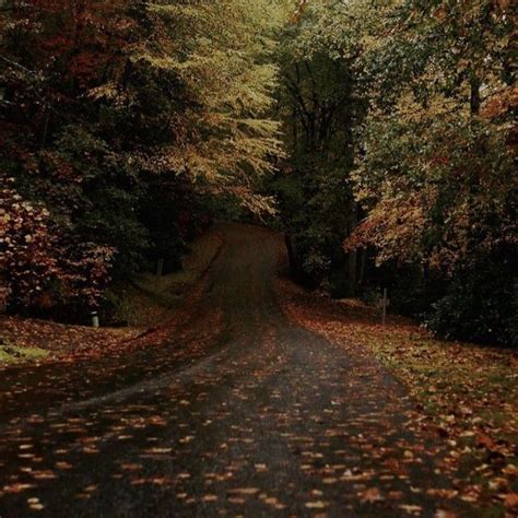 Colourofautumn On Instagram 🧡 Scenery Dark Autumn Autumn Cozy