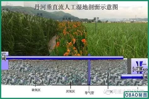 漂浮湿地示意图 水循环示意图 示意图 大山谷图库