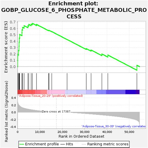 Details For Gene Set Gobp Glucose 6 Phosphate Metabolic Process[gsea]