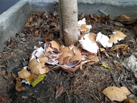 How To Reduce Pollution In The Environment With Composting Power Save