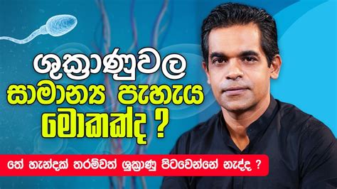 තේ හැන්දක් තරම්වත් ශුක්‍රාණු පිටවෙන්නේ නැද්ද Sex Ed Lk Youtube