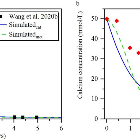 Measured And Simulated Nitrate A And Calcium B Concentrations Based Download Scientific