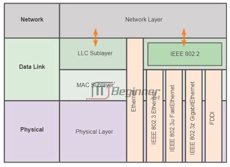 Introduction To Networks Instructor Materials Chapter 5 Ethernet