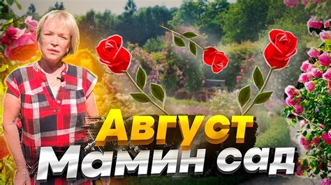 Мамин сад Август Youtube