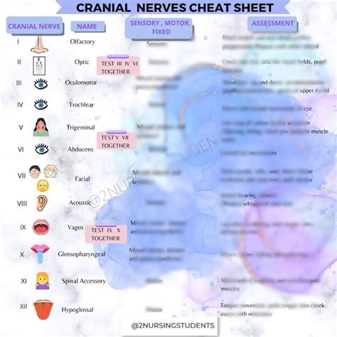 Cranial Nerves Cheat Sheet Etsy