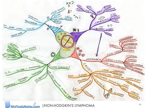 Lymphoma Non Hodgkin S Hematology Lymphoma Mind Map