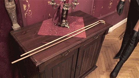 1001 The Camel Sticks Chapter One Wmv Madame Catarina