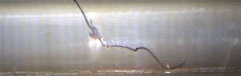 All Plastic Object Detection Dataset And Pre Trained Model By University