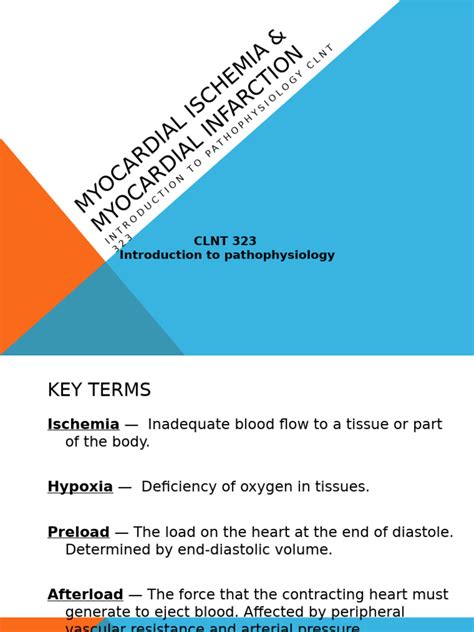 Lecture 07 Myocardial Ischemia And Infarction Pdf Myocardial