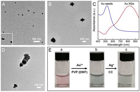Gold Nanostar Based Sensitive Catechol Plasmonic Colorimetric Sensing Platform With Ultra Wide