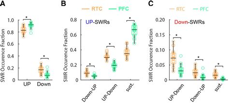 Hippocampal Memory Reactivation During Sleep Is Correlated With Specific Cortical States Of The
