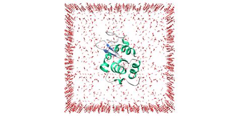 Molecular Dynamic Simulation Biocode