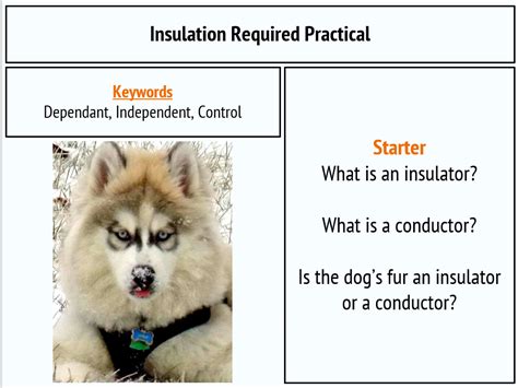 Insulation Required Practical New Aqa Gcse Teaching Resources