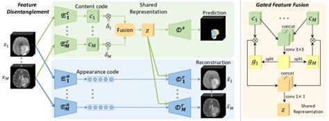 proposed multimodal segmentation framework left feature download