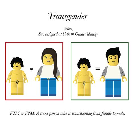 Gender Lego Explained On Behance