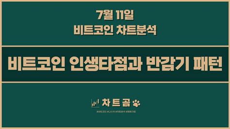 비트코인 인생타점과 반감기 패턴 Youtube