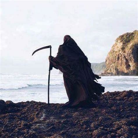 Listen To El Pico El Comando Exclusivo 2017 Mp3 By Jose Valdez In Weed Songs Playlist Online