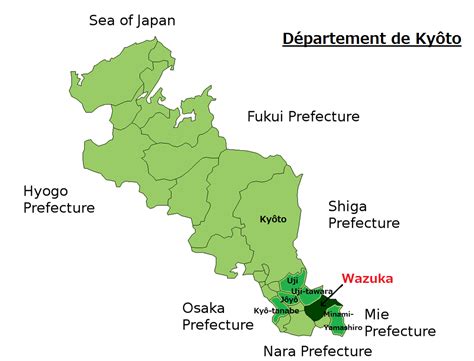 Sencha Tsuyu Hikari De Wazuka