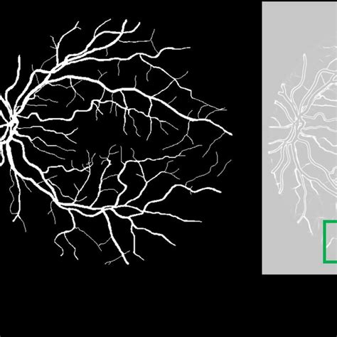 An Example Of The Proposed Spatial Activation The Attention Maps Is Download Scientific