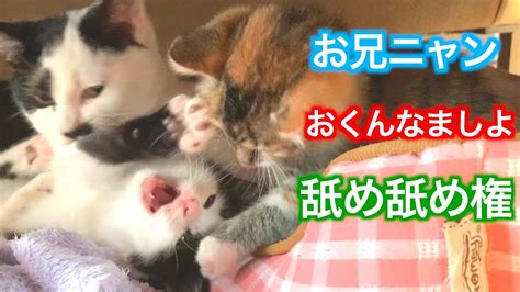 甘えん坊大会 YouTube