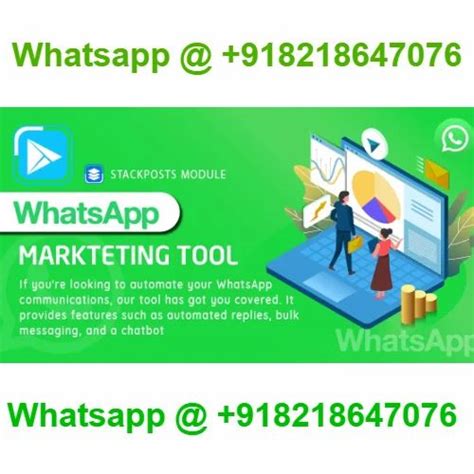 Whatsapp Marketing Tool Module For Stackposts Installation And Setup