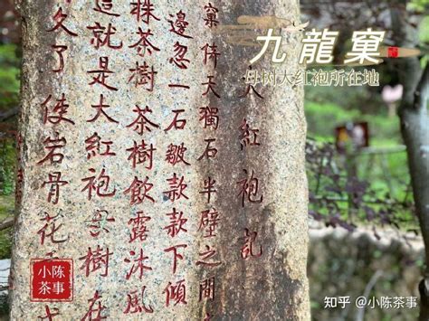 武夷岩茶的划分3大主流品种4大分类你都了解吗 知乎