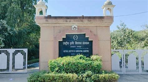 Newchapter Highereducation Academicjourney Excitingtimes Anurag Pathak 37 Comments