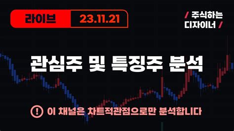 11월 21일 특징주 및 관심종목 차트분석 Youtube
