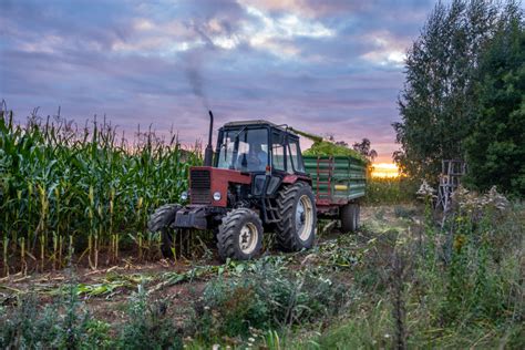 Biomass Energy And Sustainability Bioenergy Consult