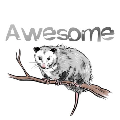 Awesome Possum  Find And Share On Giphy